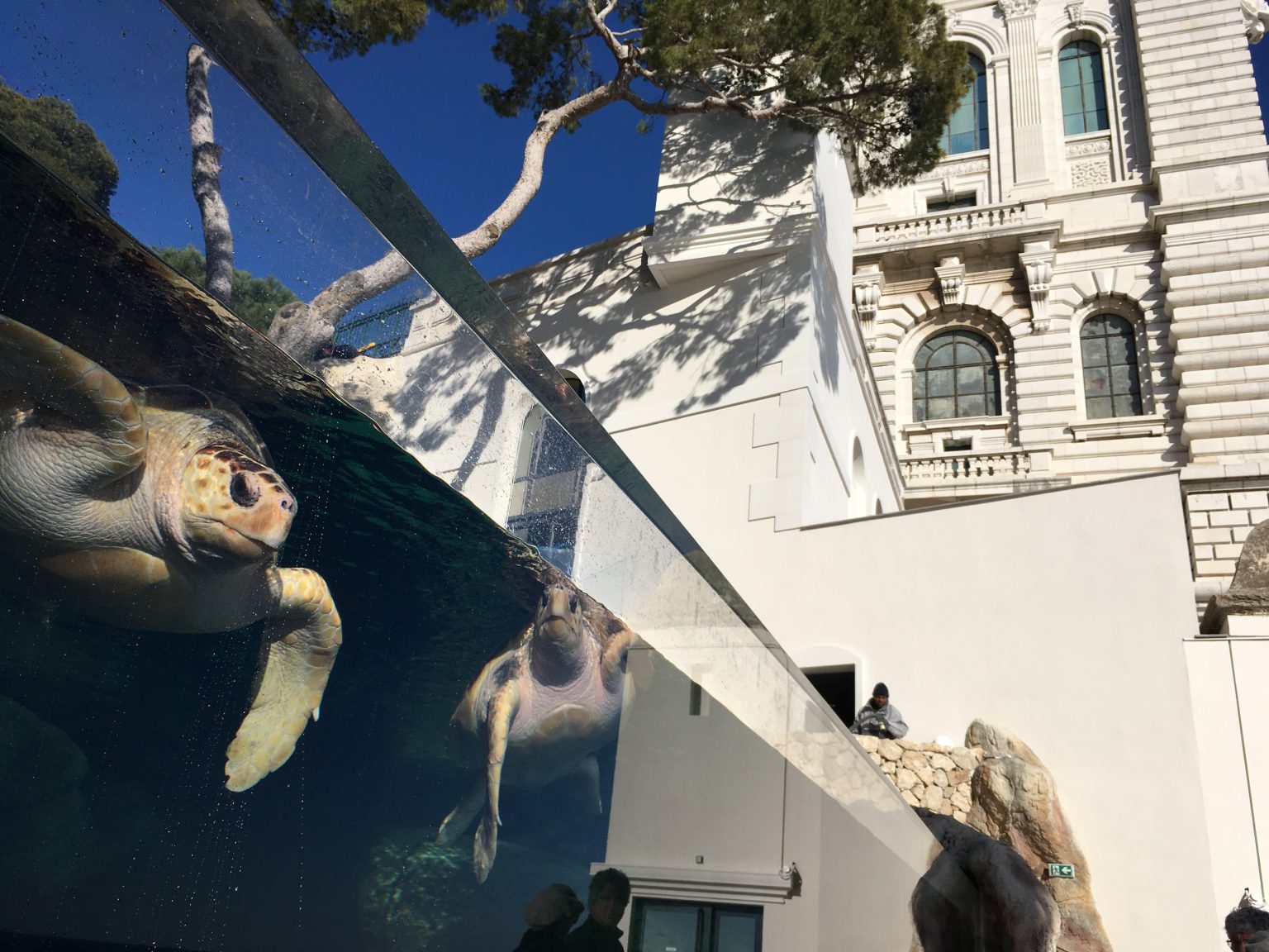 You are - Individual - Musée Océanographique de Monaco