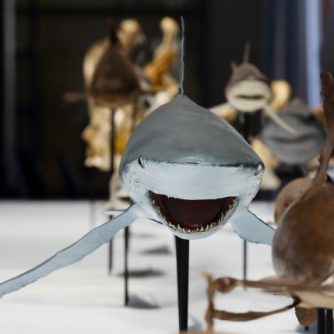 Badu Island - Musée Océanographique de Monaco