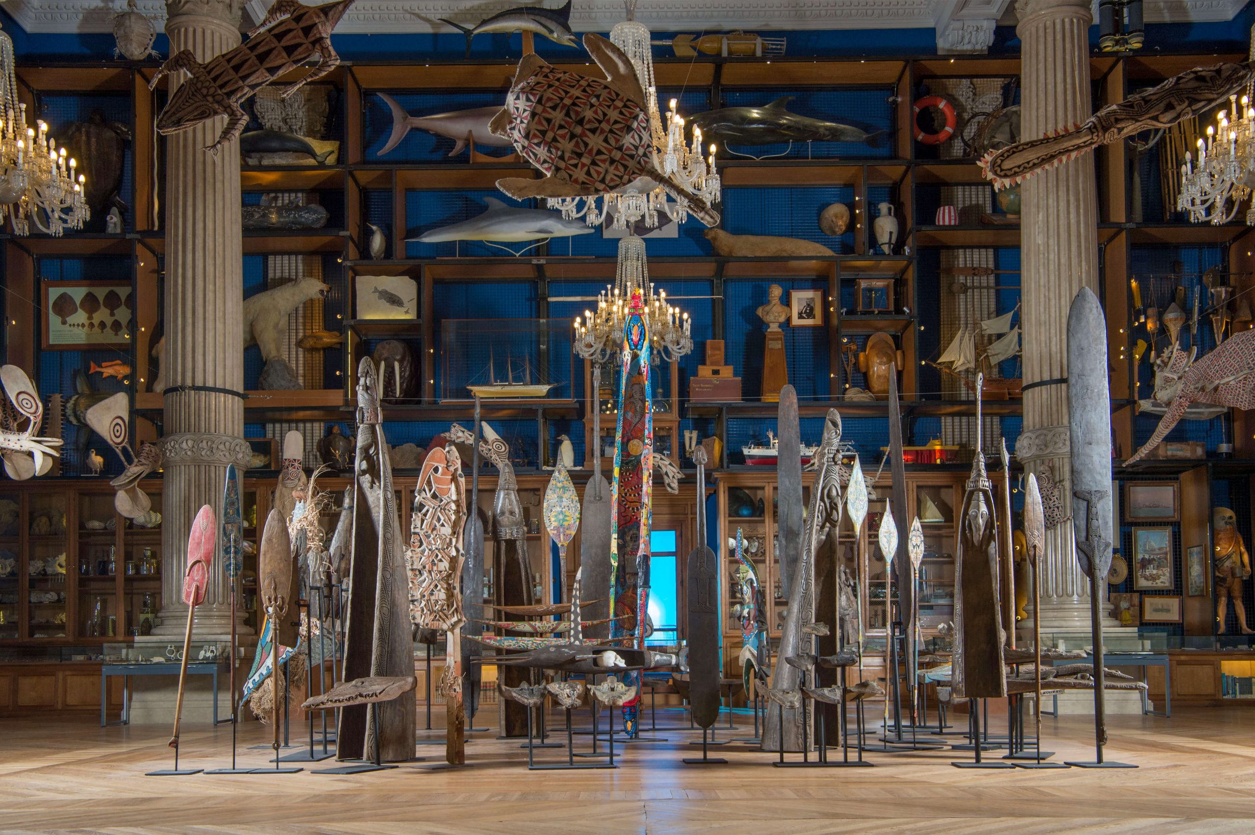 Our collections - Musée Océanographique de Monaco