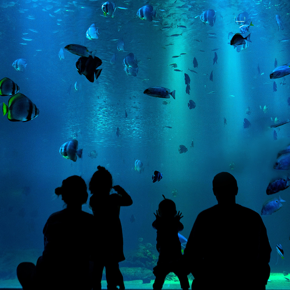 Home - Musée Océanographique de Monaco