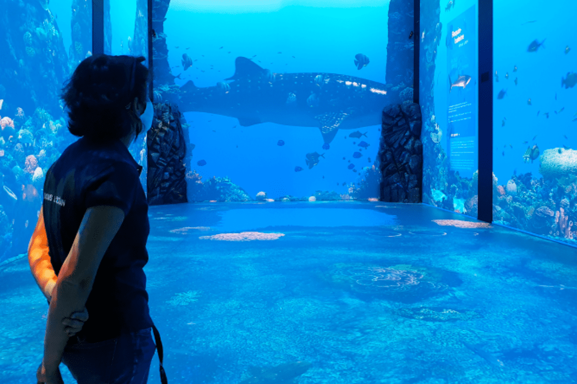 Practical information - Musée Océanographique de Monaco