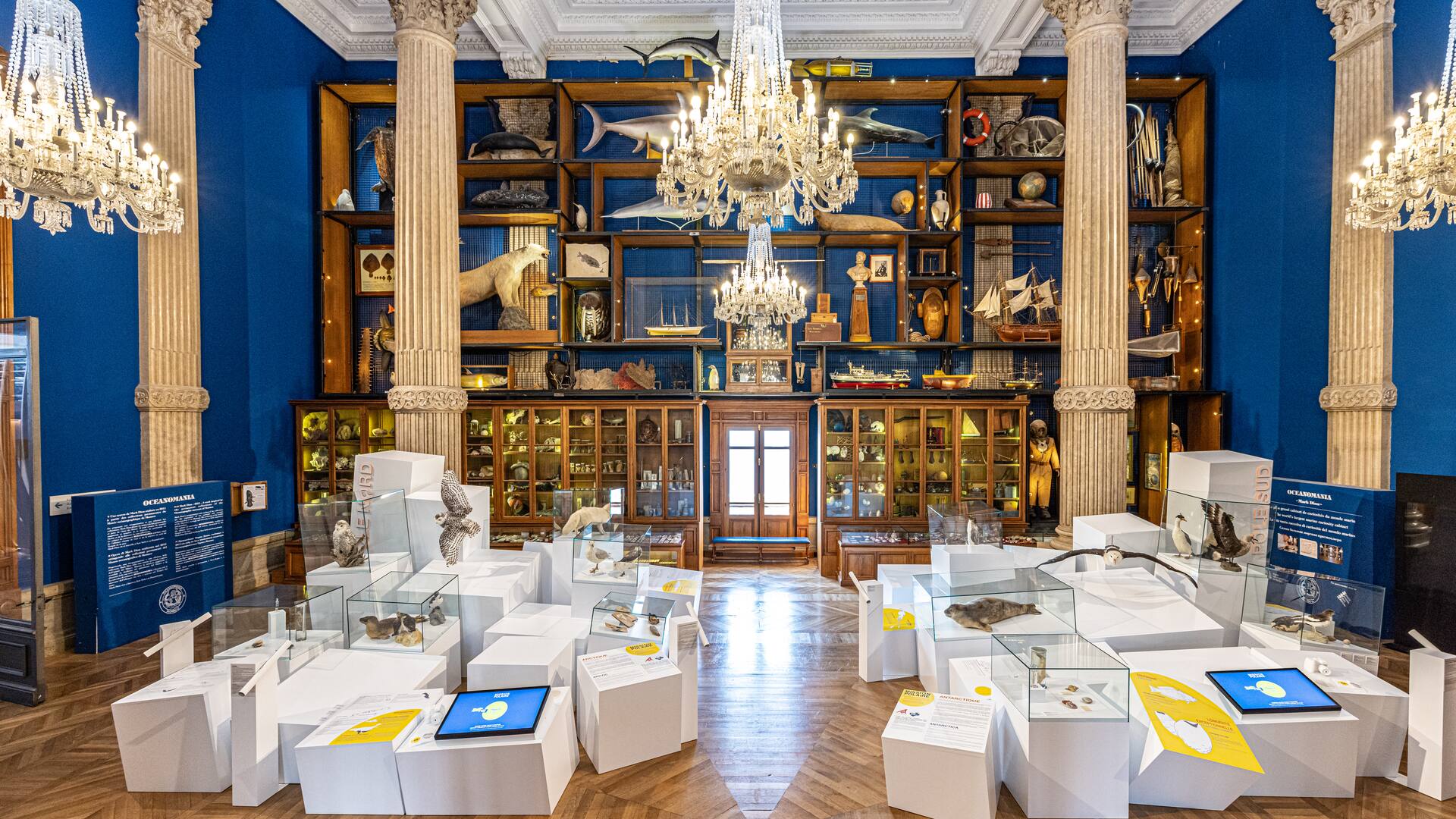 The Polar Mission course - Musée Océanographique de Monaco